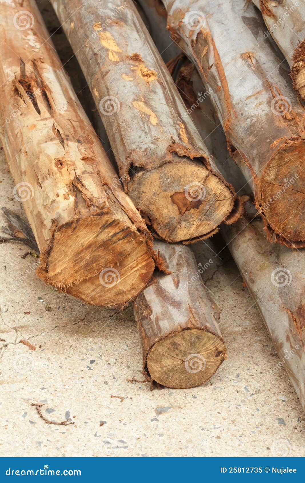 Wood stack stock image. Image of forest, industry, natural - 25812735