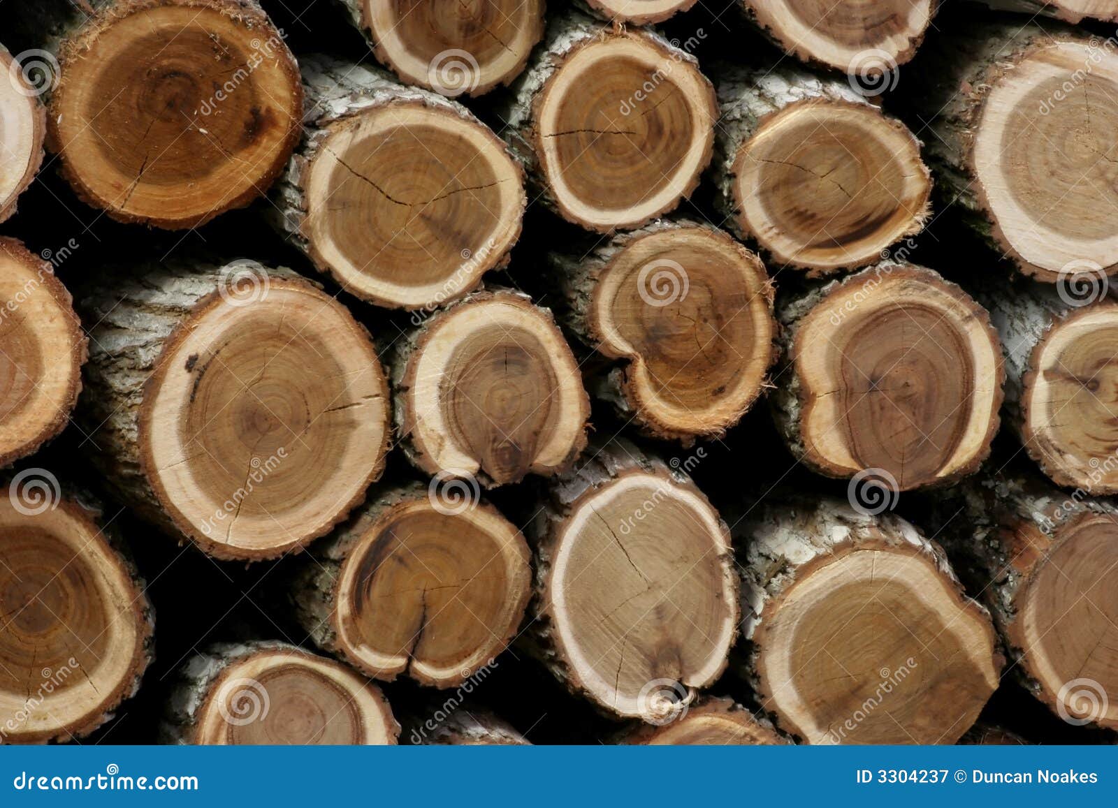 Wood Stack stock image. Image of bark, ends, wood, rings - 3304237