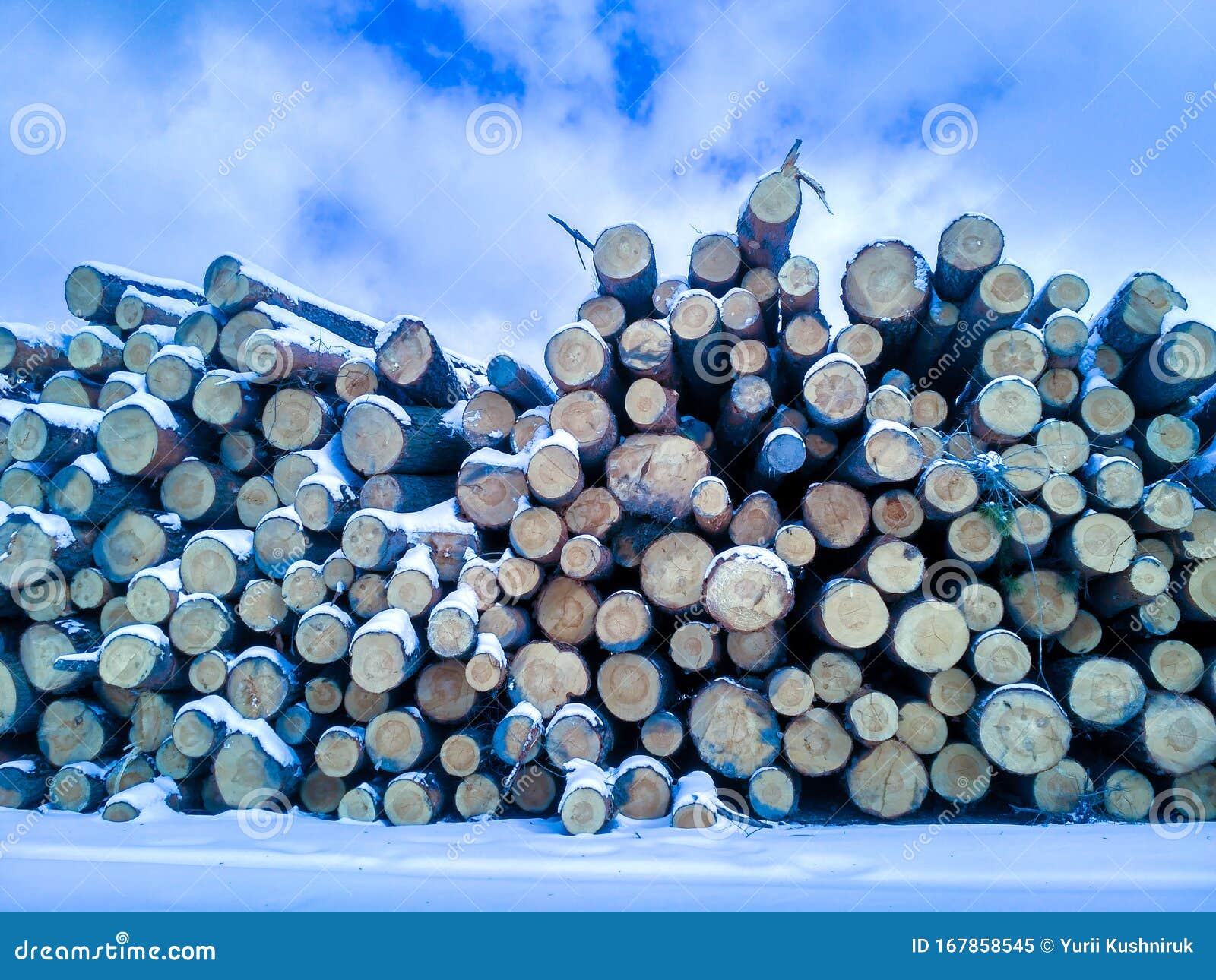 Wood Stack Background of Classic Blue Color of the Year 2020 Stock ...