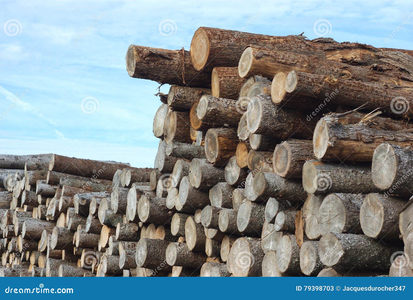 Wood Stack of Construction Raw Timber in Sawmill Yard Stock Image ...