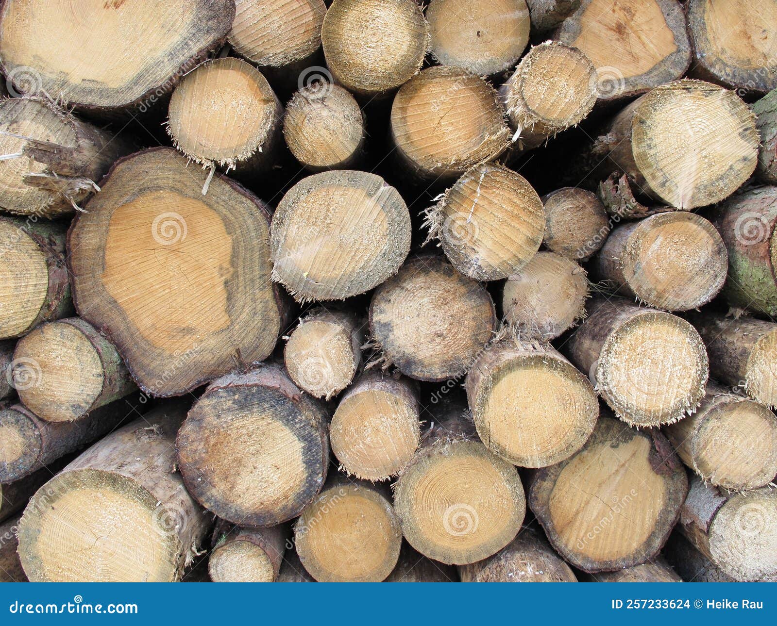 Wood stack from front stock photo. Image of renewable - 257233624