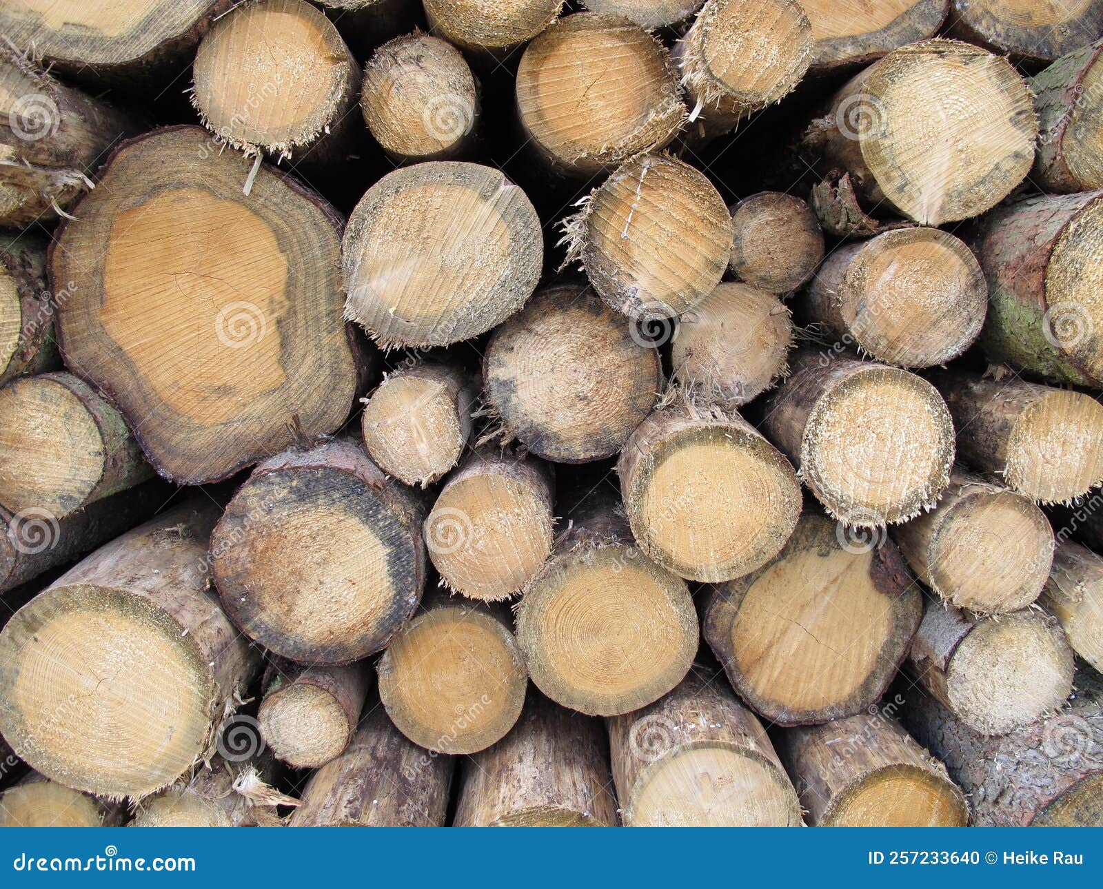 Wood stack from front stock photo. Image of processing - 257233640