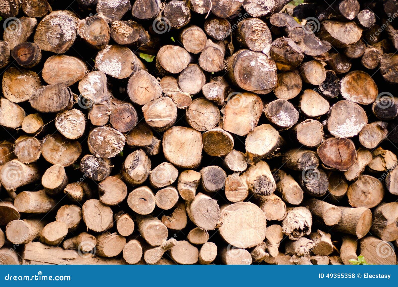 Wood stack stock photo. Image of group, lumber, outdoors - 49355358