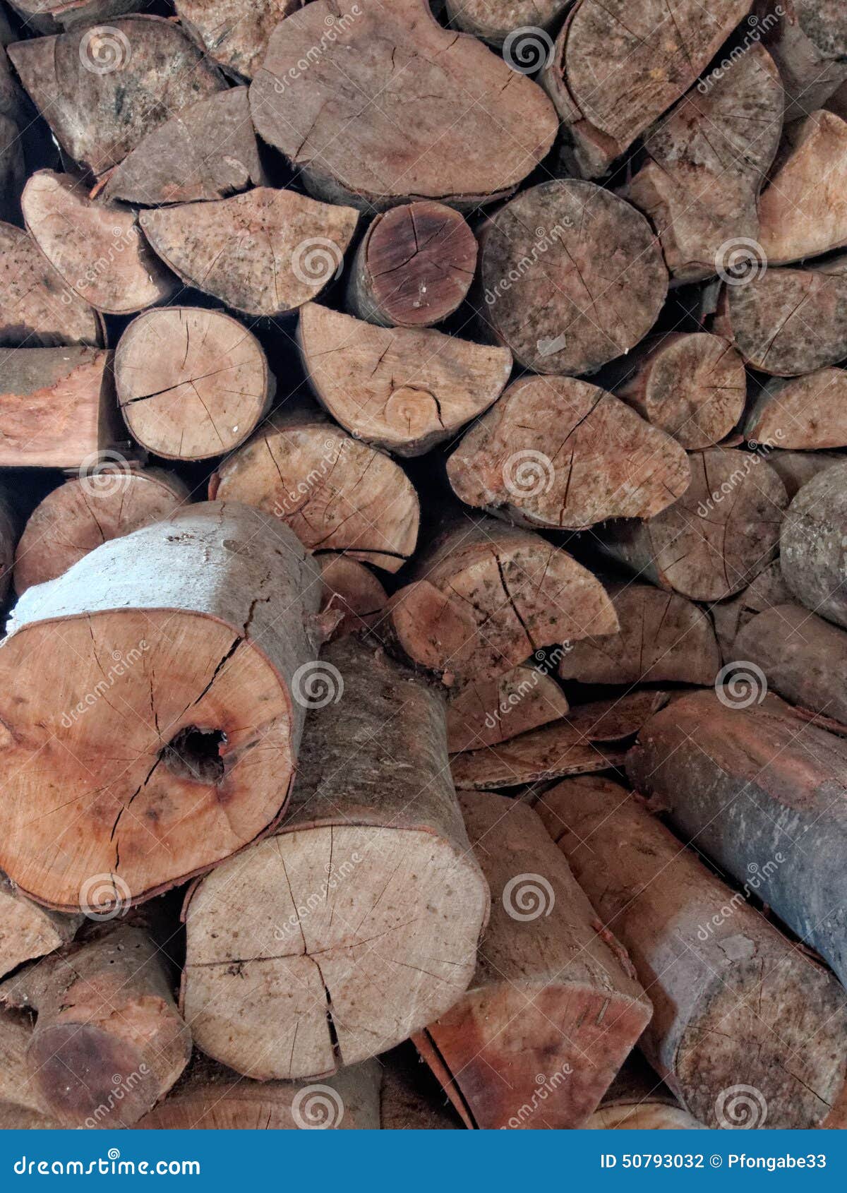 Wood stack stock photo. Image of logging, bark, forestry - 50793032