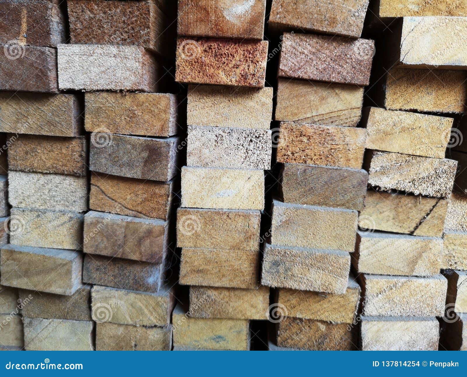 Wood Stack Stacked Together Cross Section Nature Cut into Pieces for ...