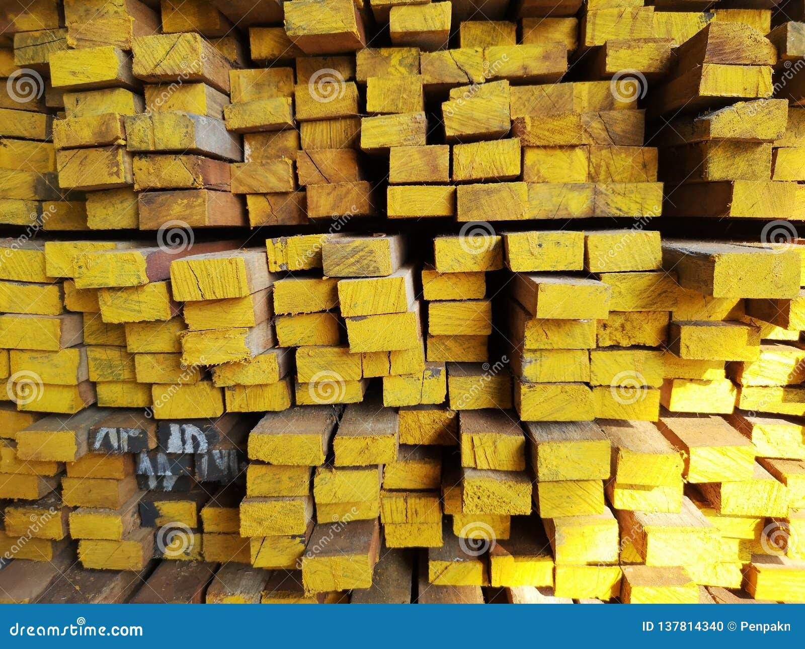 Wood Stack Stacked Together Cross Section Nature Cut into Pieces for ...