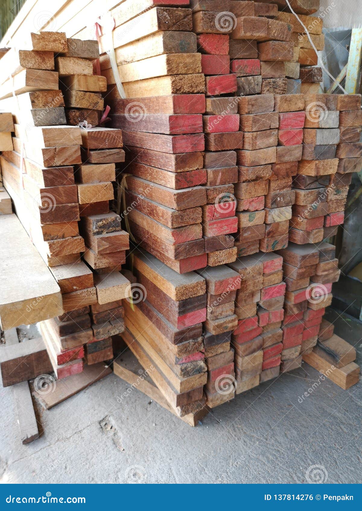 Wood Stack Stacked Together Cross Section Nature Cut into Pieces for ...