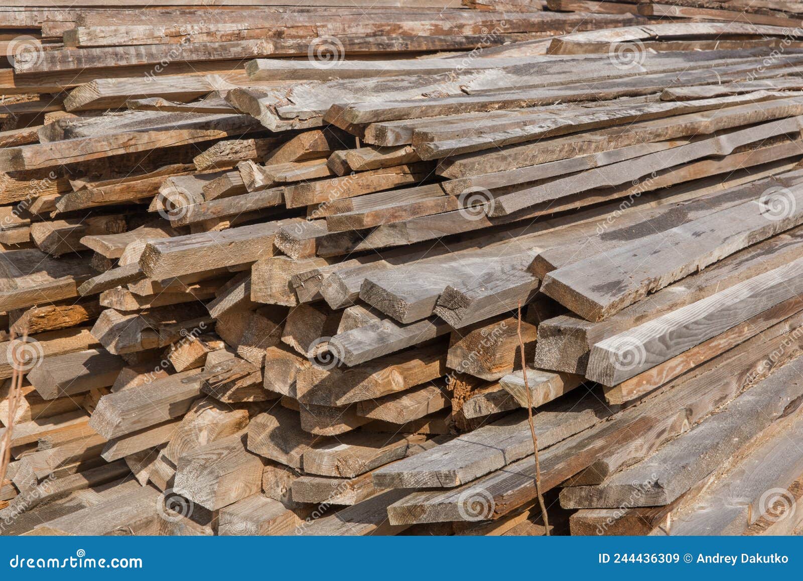 Wood Stack Storage of Timber Materials and Lumber Pile Industry Stock ...