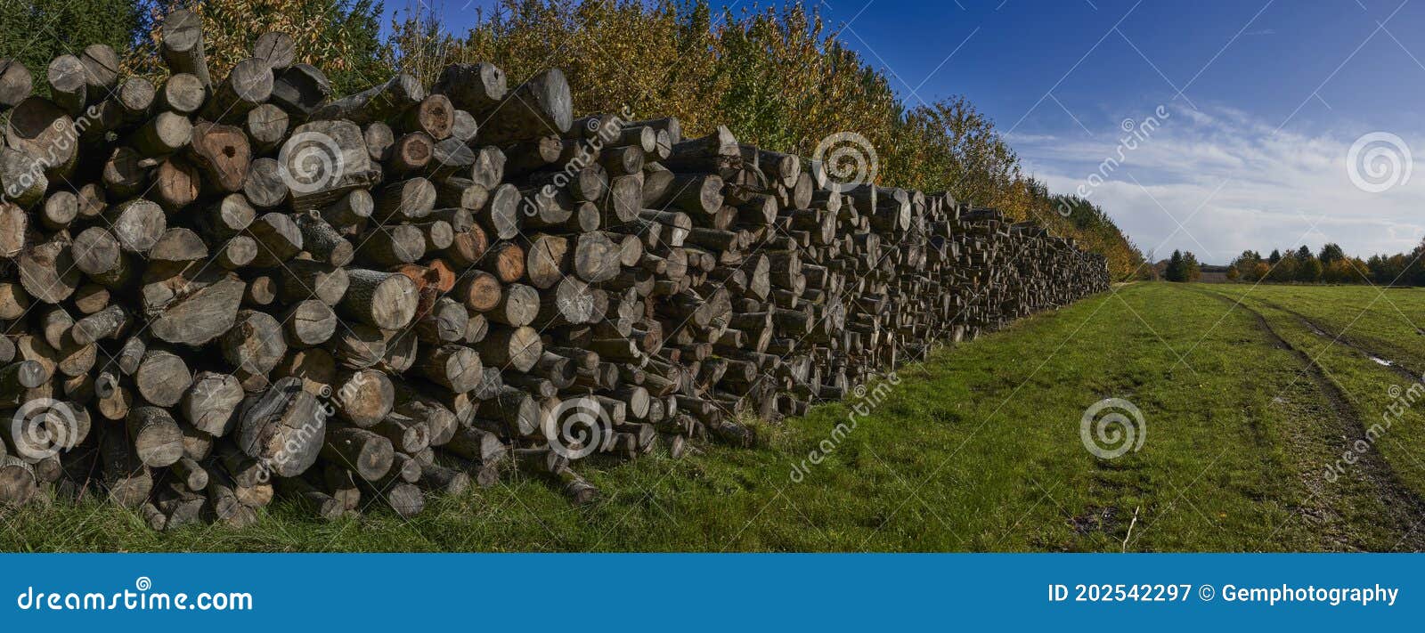 Wood Stacks in field stock image. Image of wood, timber - 202542297