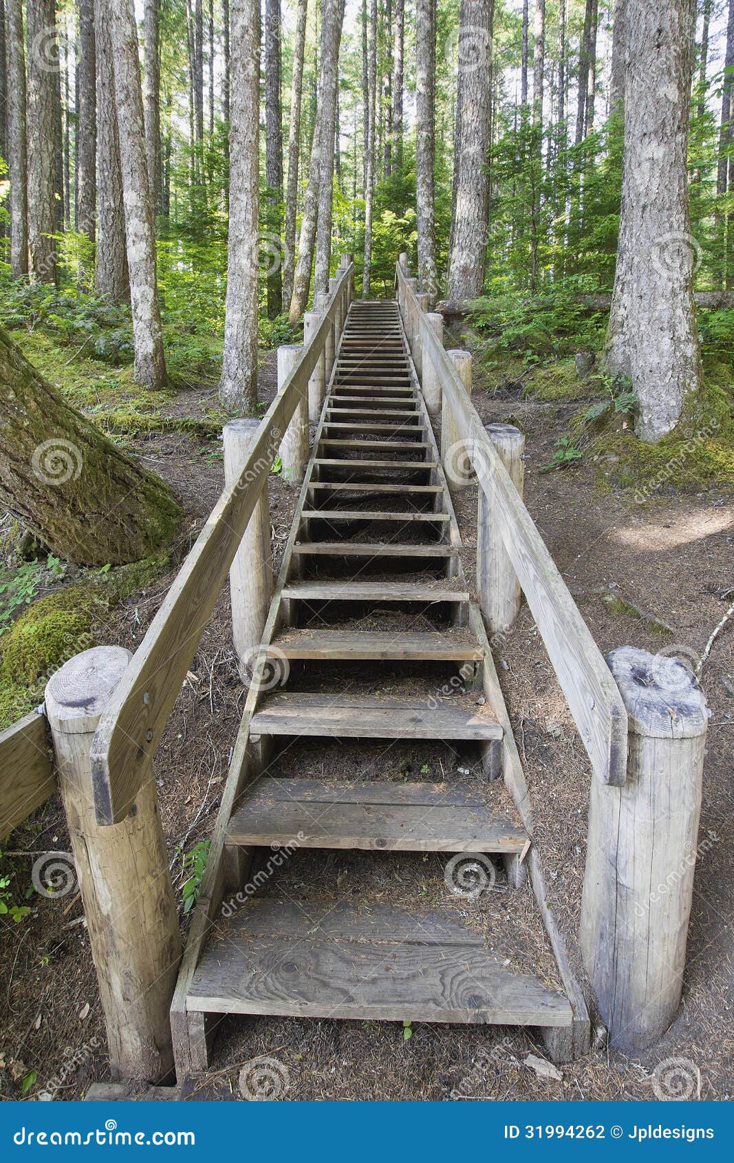 Wood Staircase in Hiking Trail Stock Photo - Image of washington, steps ...