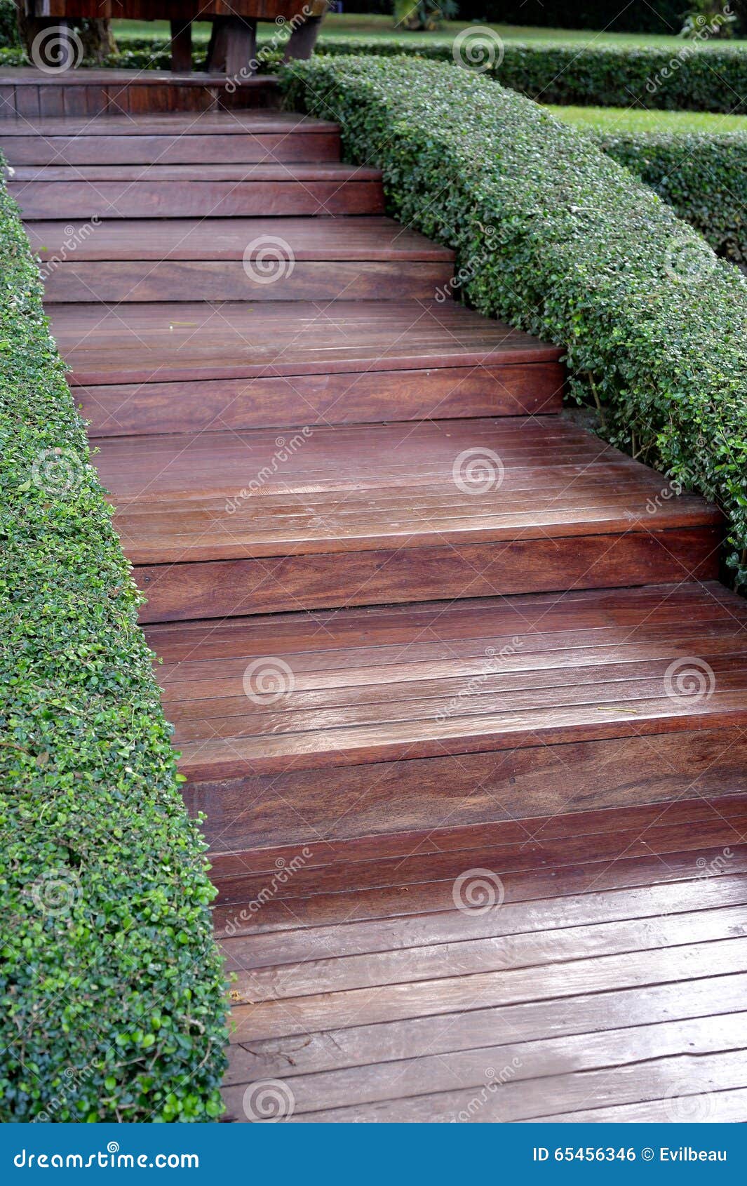 Wood step stock photo. Image of path, countryside, decoration - 65456346
