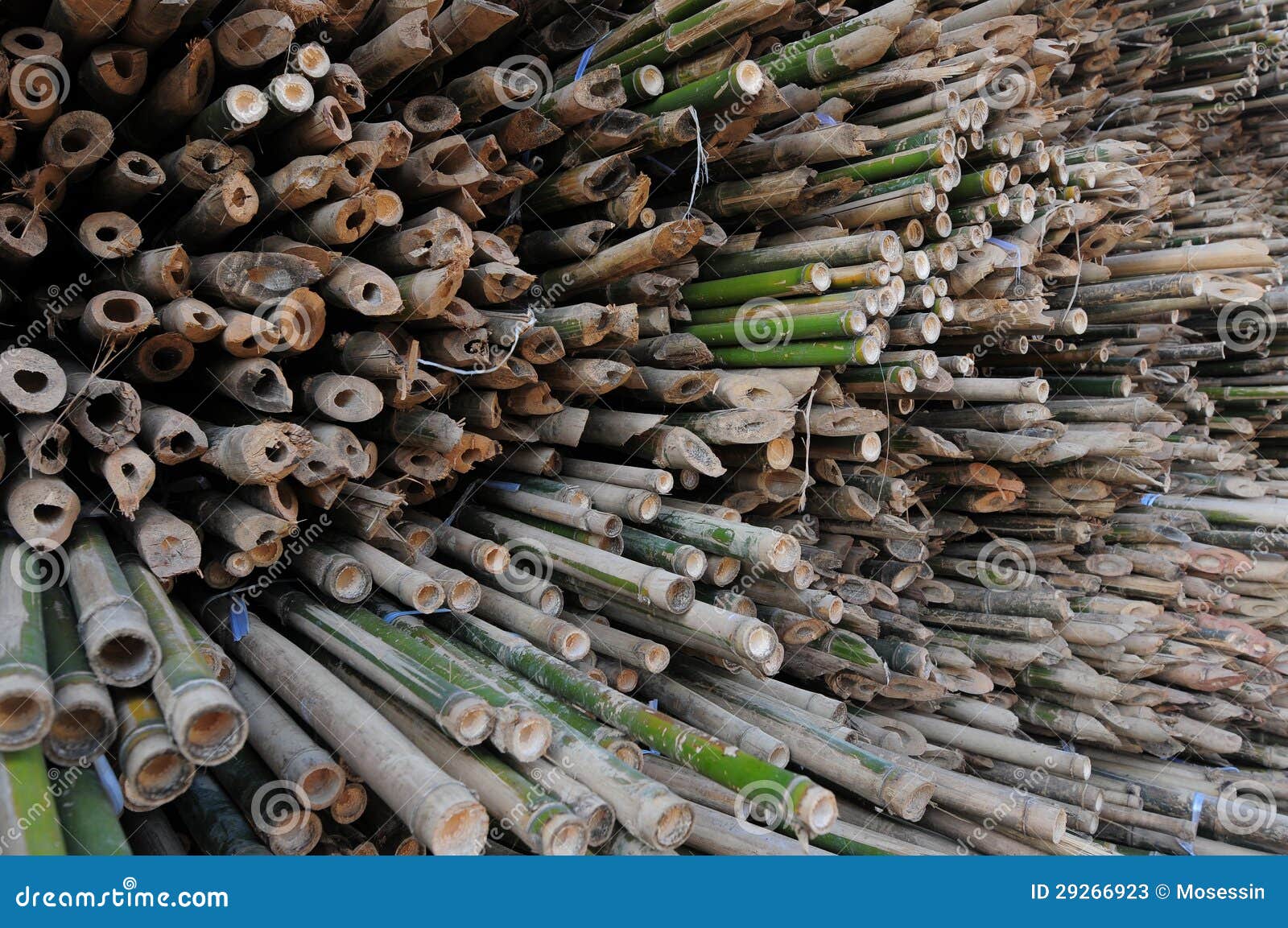 Wood stick stock image. Image of wood, line, uneven, stick - 29266923