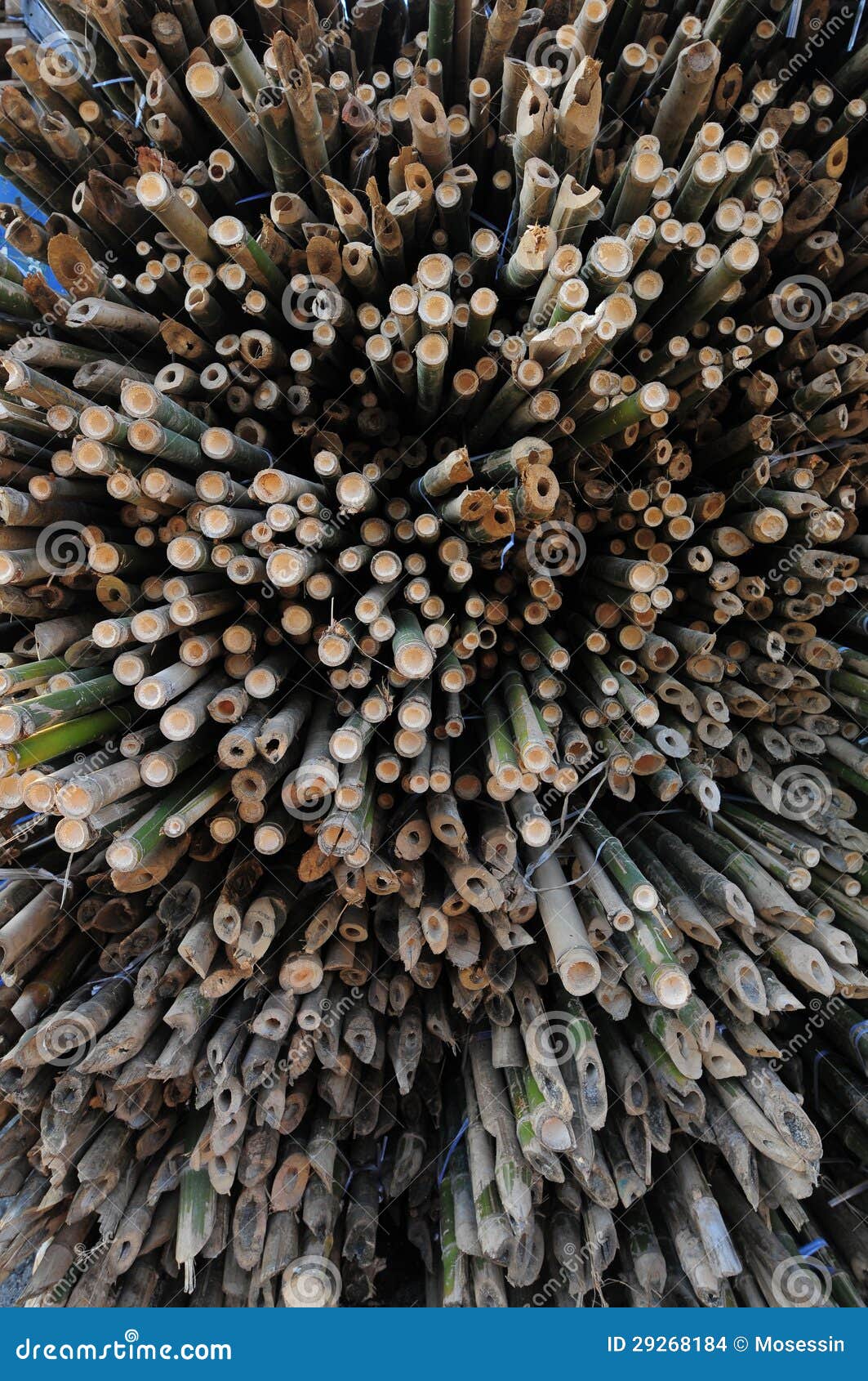 Wood stick stock photo. Image of details, arts, wood - 29268184