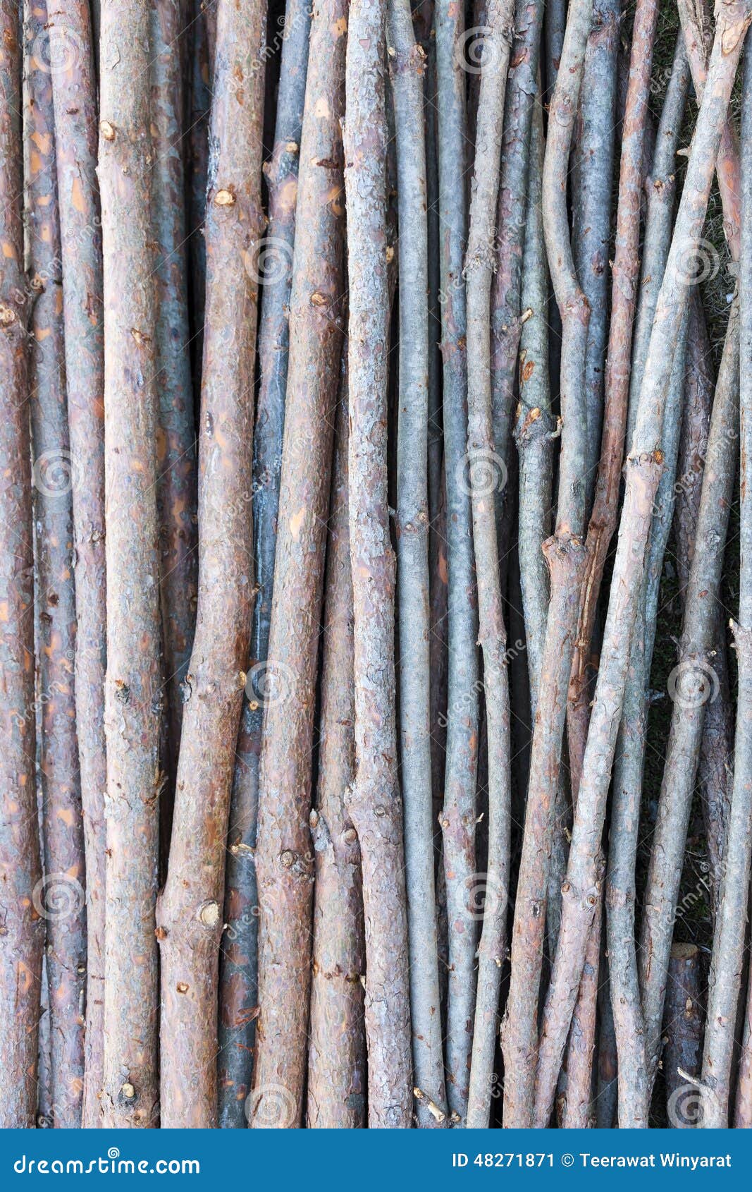 Wood stick Pattern stock image. Image of texture, outdoor - 48271871