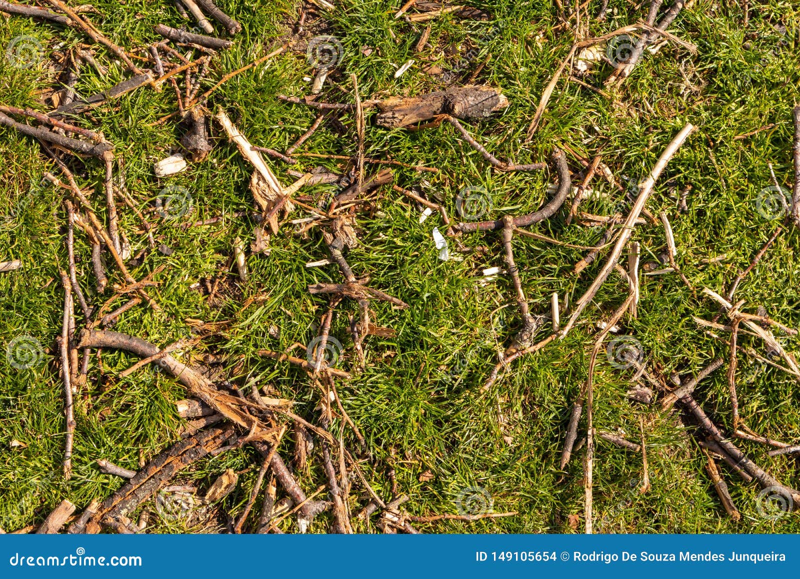 Wood Sticks in the Grass. Background Photo Stock Photo - Image of grey ...