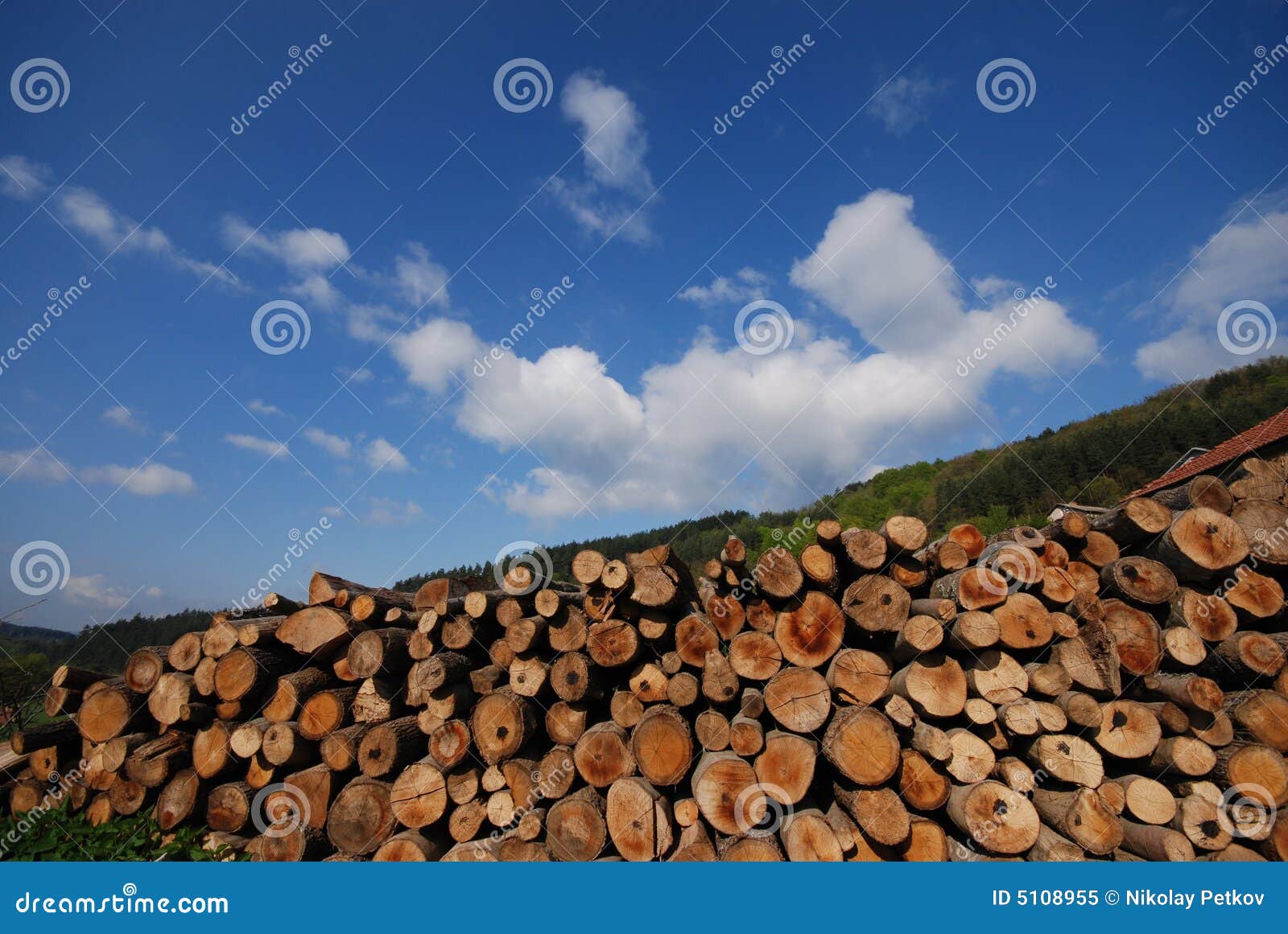 Wood stock stock image. Image of abstract, colour, landscapes - 5108955