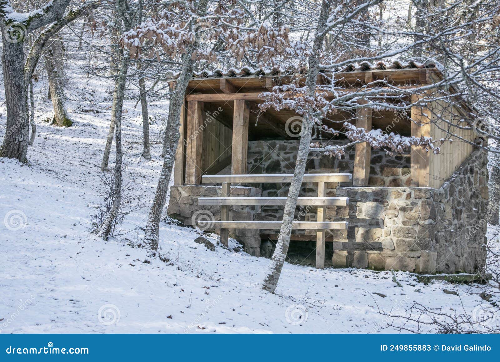 Wood and Stone Cabin in a Snowy Forest Stock Image - Image of outdoor ...