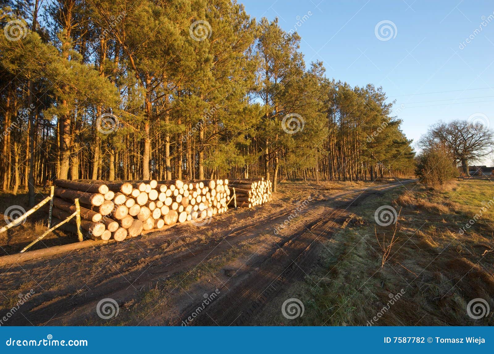 Wood storage stock photo. Image of environment, countryside - 7587782