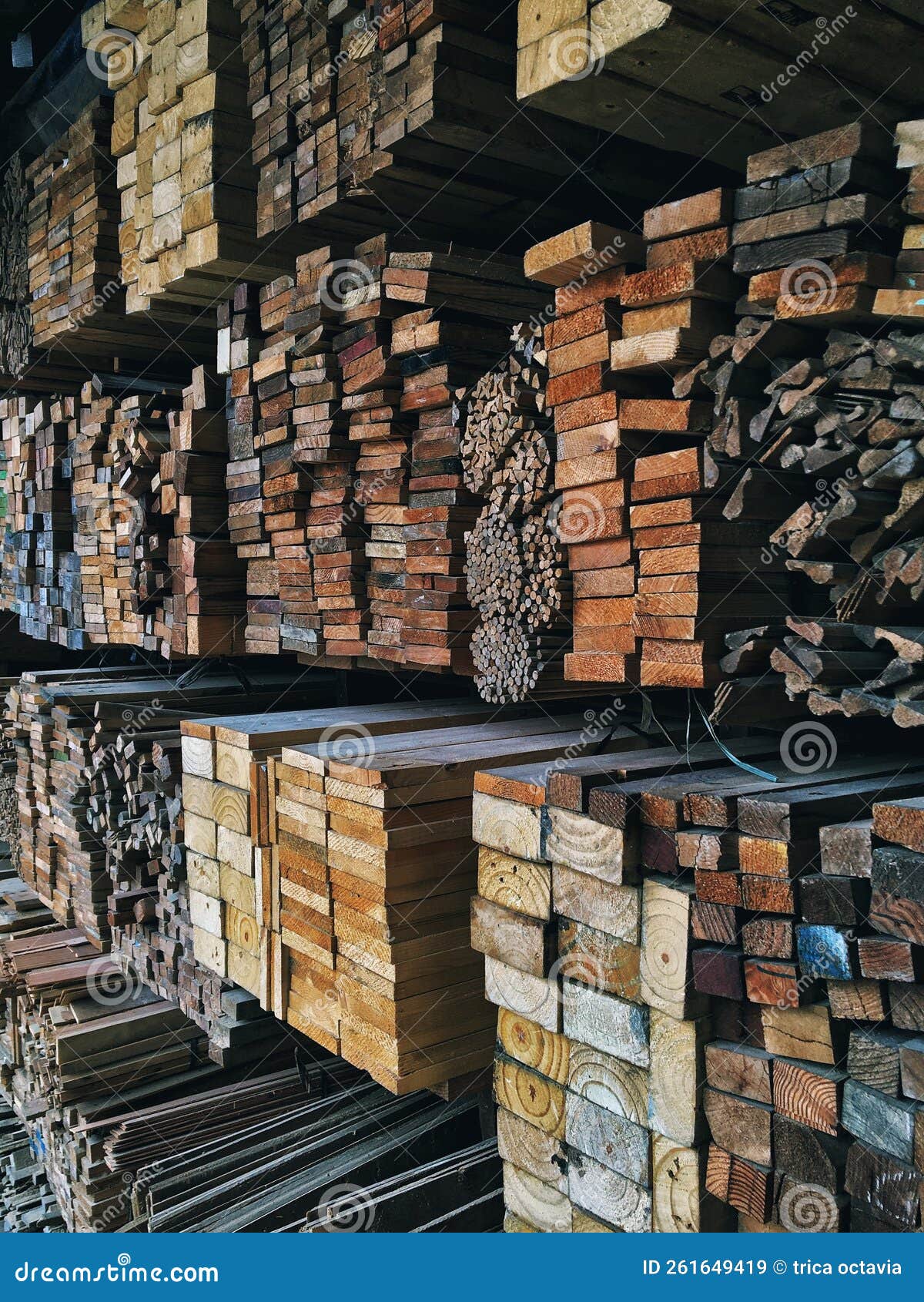 Wood store stock image. Image of wood, carpenter, texture - 261649419