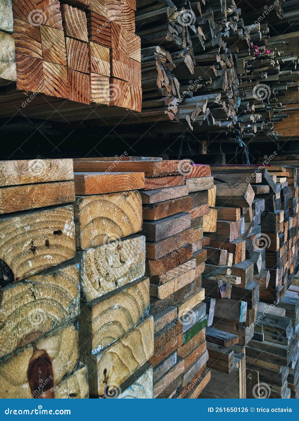 Wood store stock photo. Image of store, carpenter, texture - 261650126