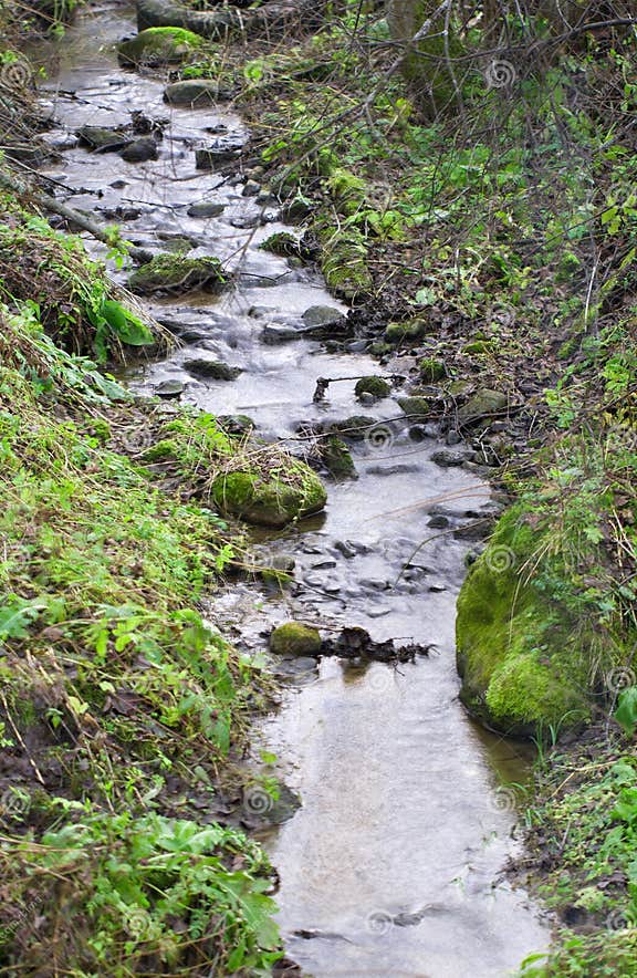Wood stream stock image. Image of scenics, green, cold - 22138723