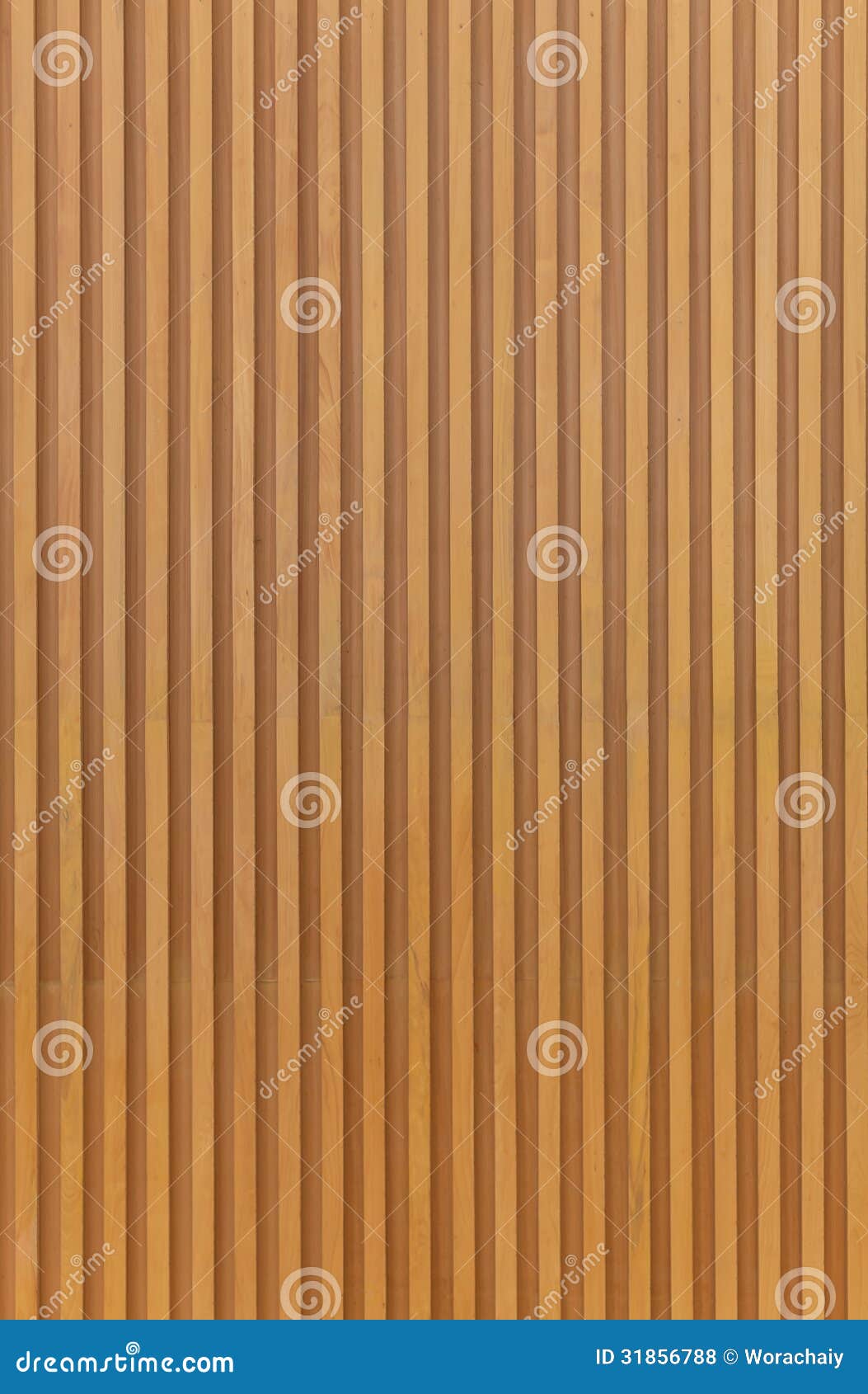 Wood Stripes Texture Royalty-Free Stock Image | CartoonDealer.com #31856788