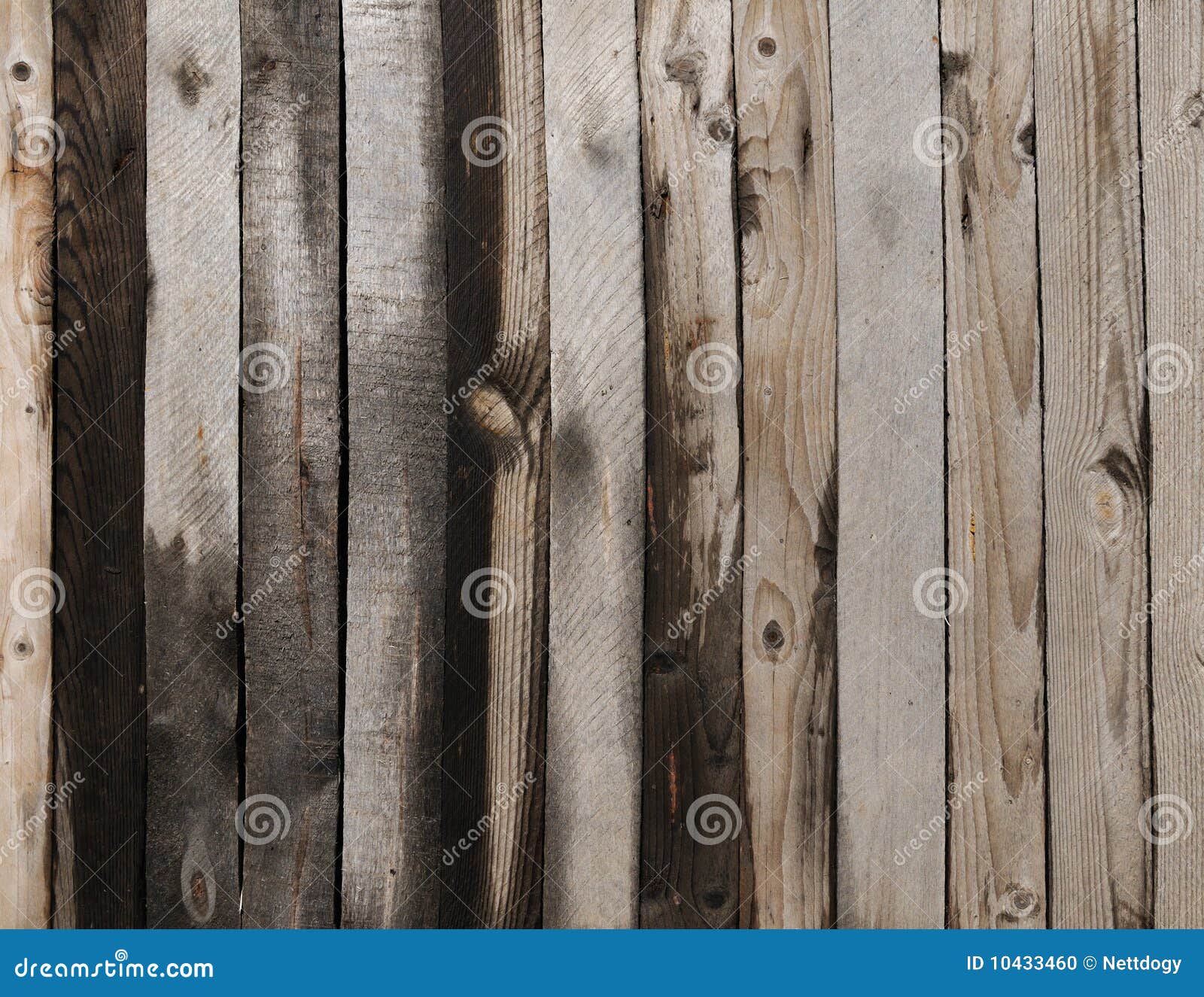 Wood strips texture 2 stock photo. Image of strip, door - 10433460