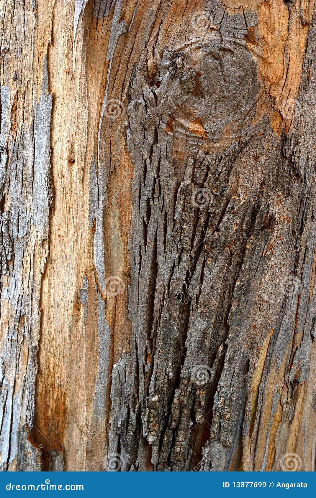 Wood structure stock image. Image of structure, material - 13877699