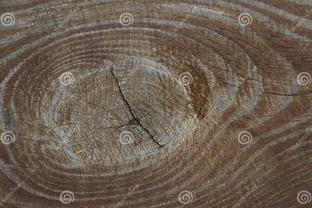 Wood stock photo. Image of stack, tree, knothole, pattern - 89748786