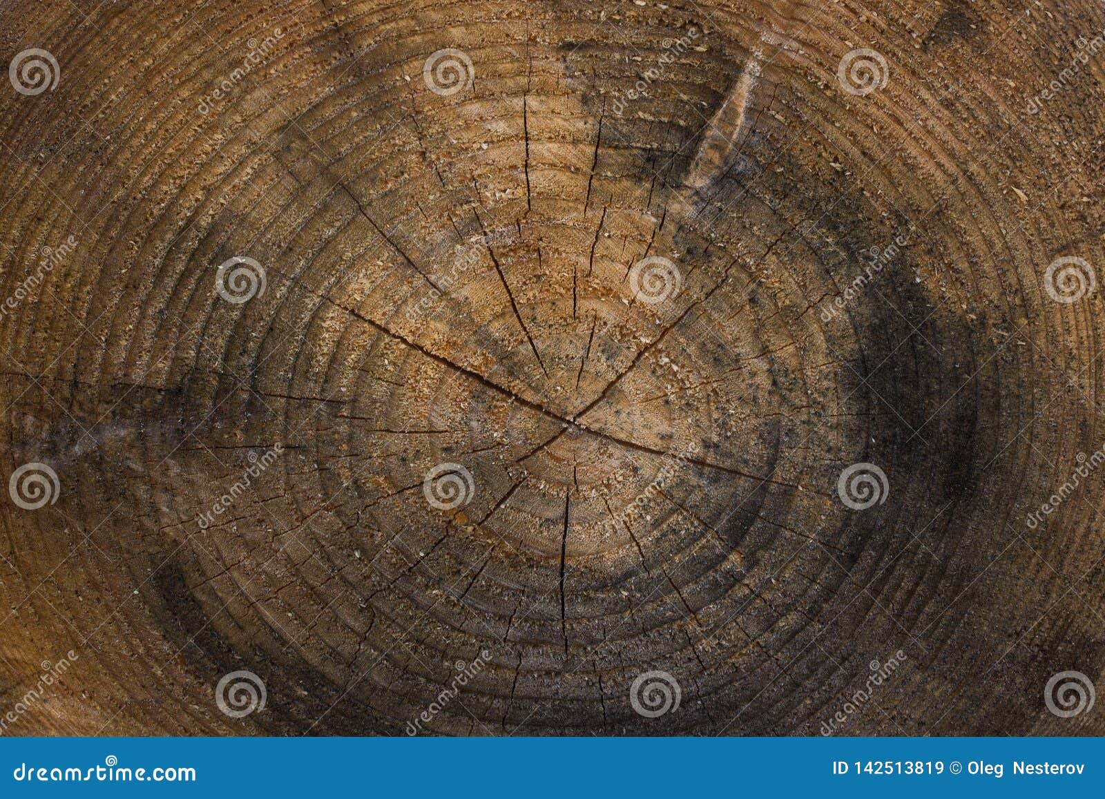 Wood Structure with Round Patterns and Cracks Close-up Stock Image ...