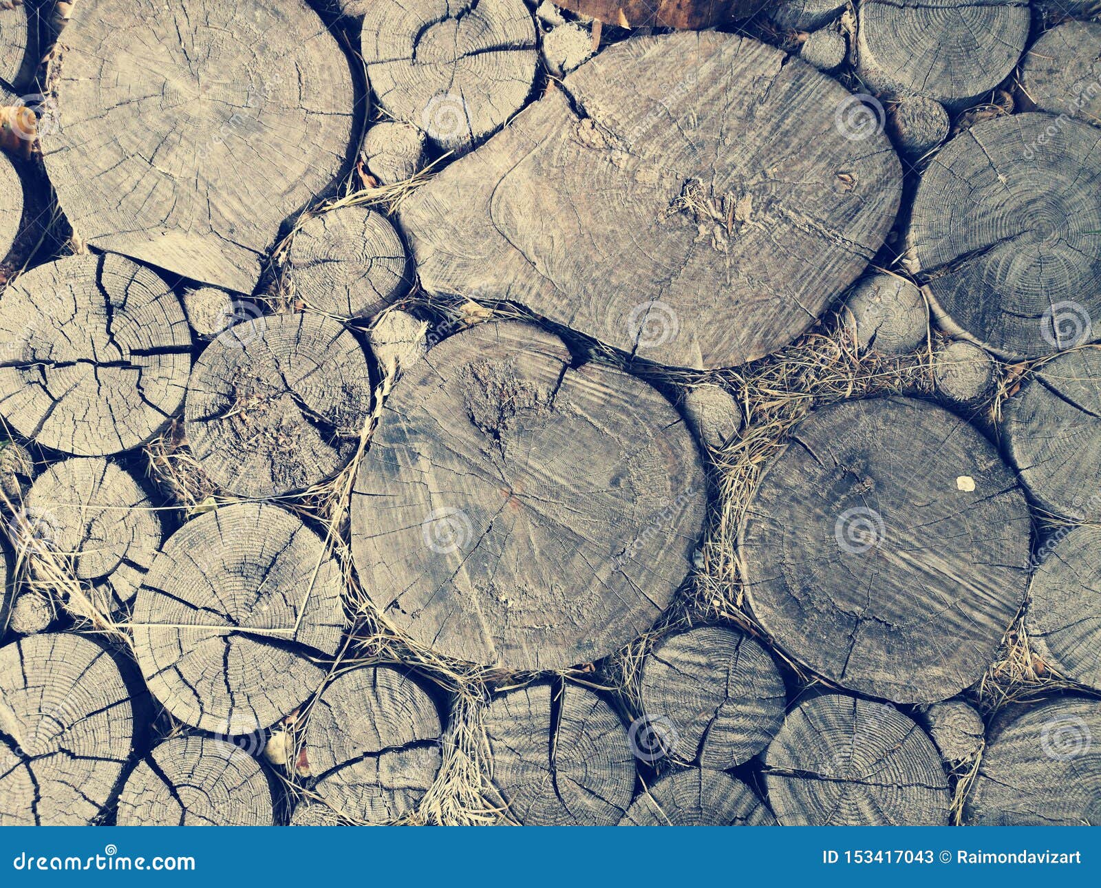 Wood stump texture stock image. Image of background - 153417043