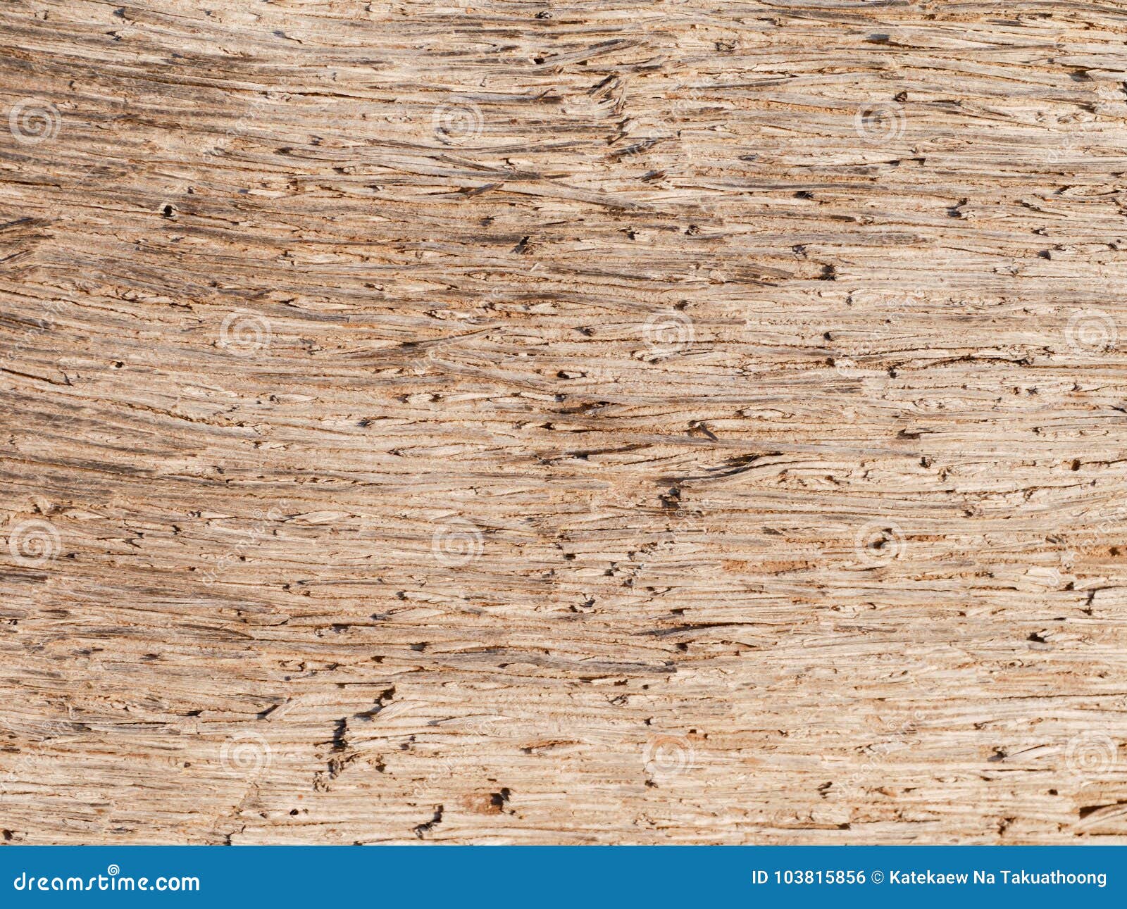 Wood surface ground floor stock photo. Image of abstract - 103815856