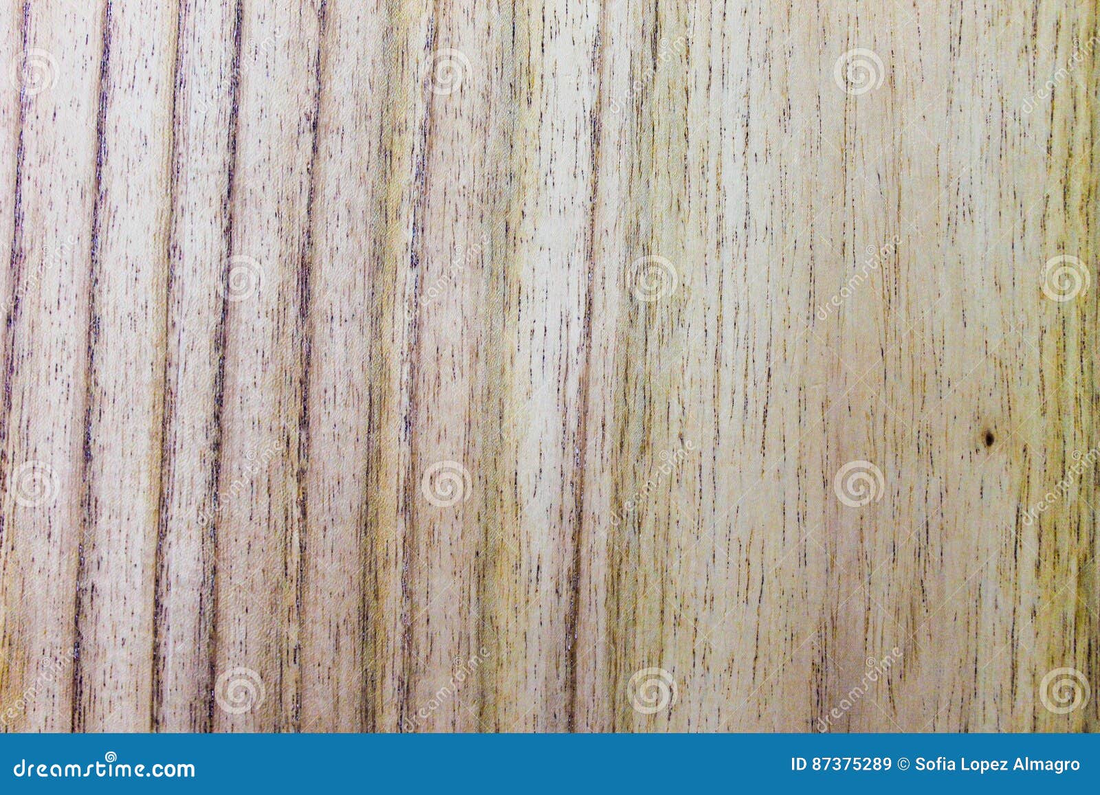 Wood Surface Material Detail Stock Image - Image of backdrop, hardwood ...