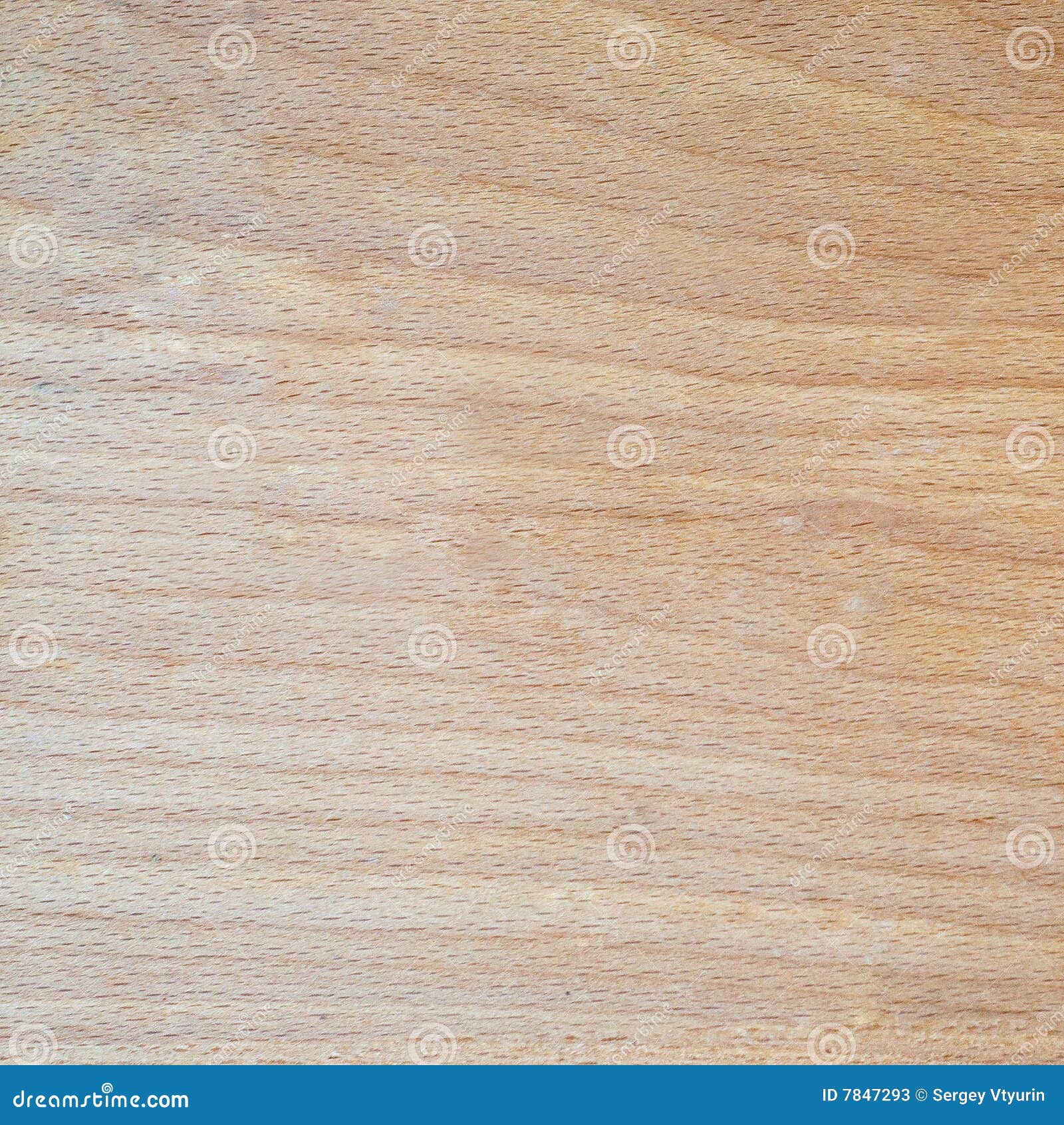Wood surface texture stock image. Image of pattern, surface - 7847293