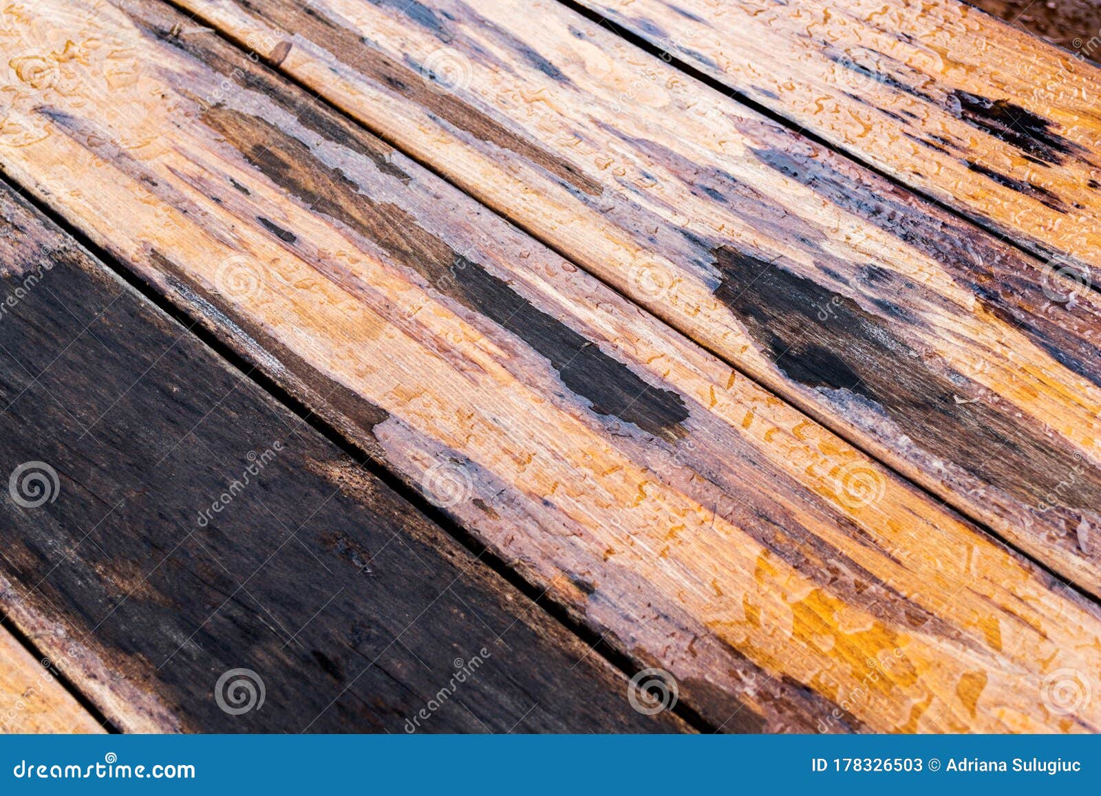 Wood Surface with Water Drops Stock Image - Image of plank, boards ...