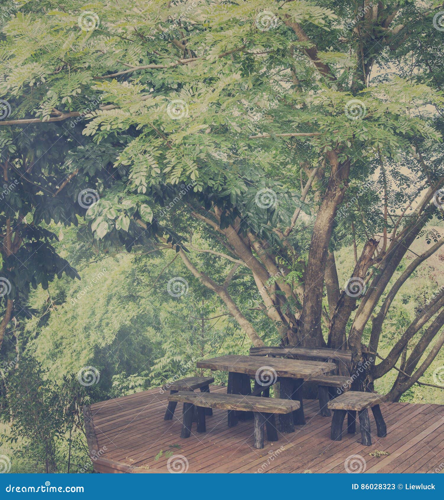 Wood Table and Chair Under Tree Stock Image - Image of tranquil, table ...
