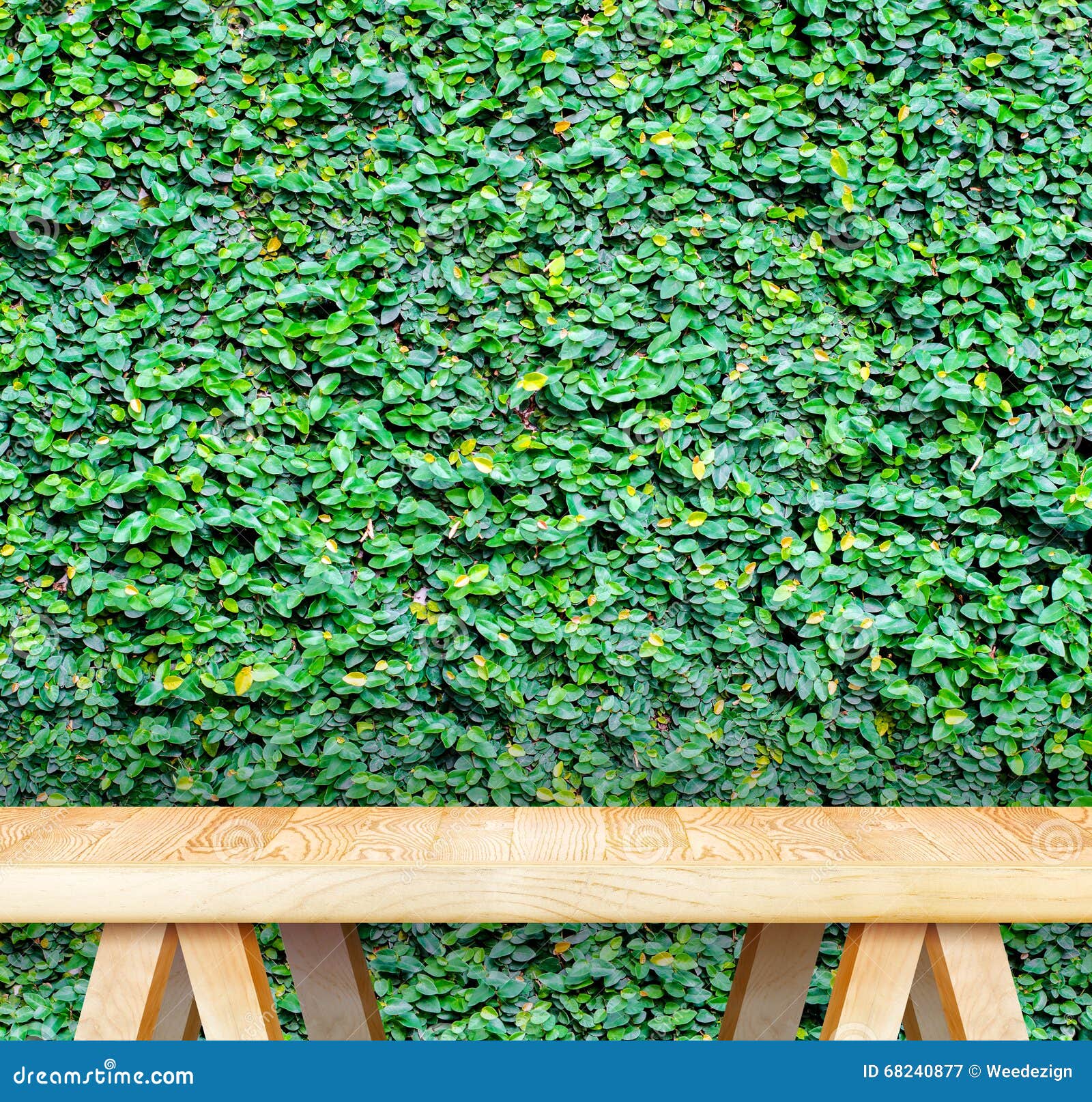 Wood Table at Green Hedge,Template Mock Up for Display of Product Stock ...