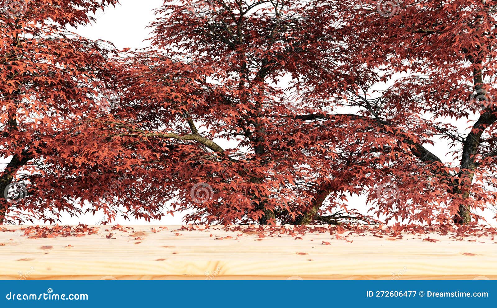 Wood Table Top with Maple on Isolated. 3d Illustration Stock ...