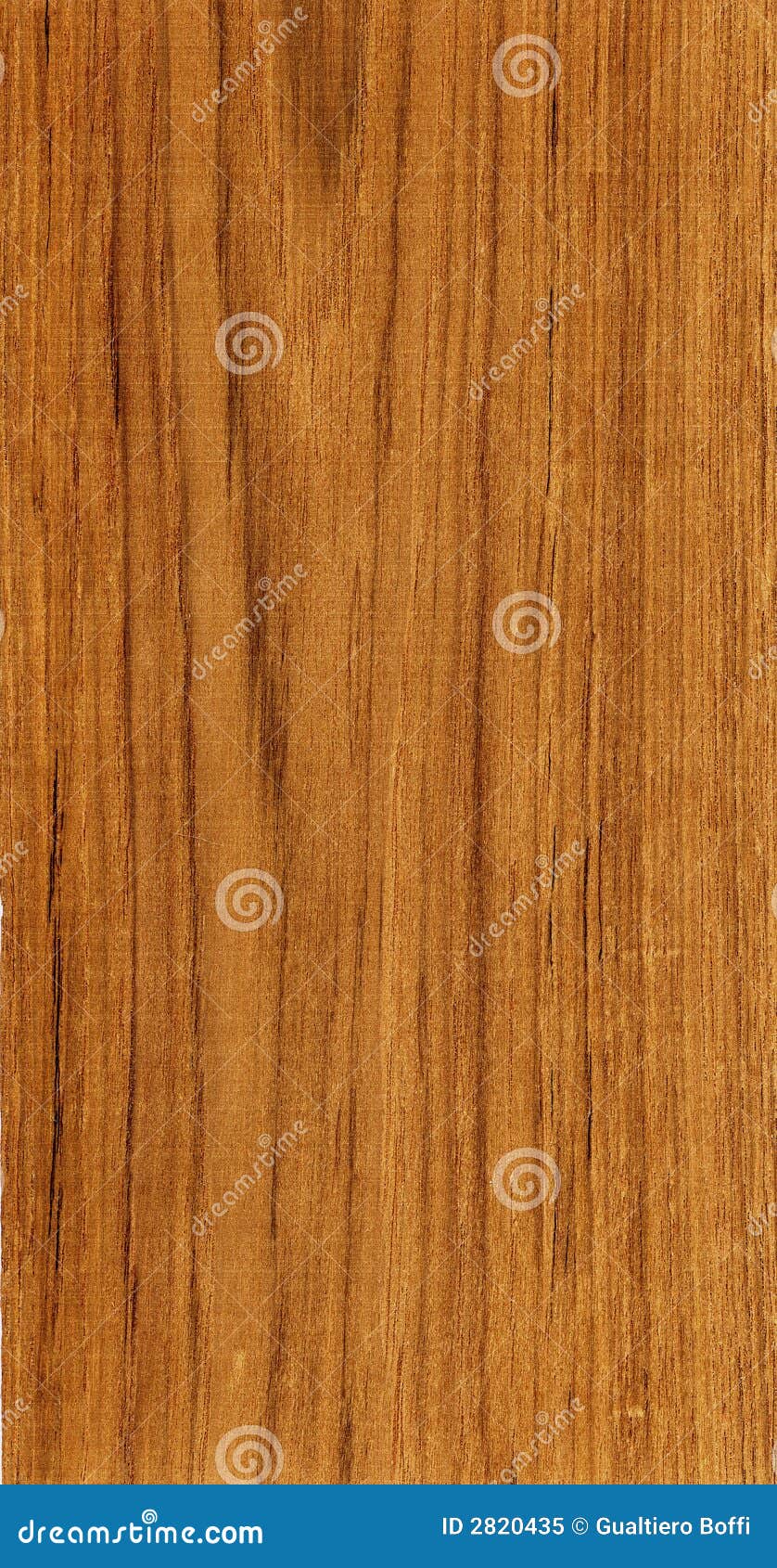 Wood teak stock image. Image of artwork, decorative, element - 2820435