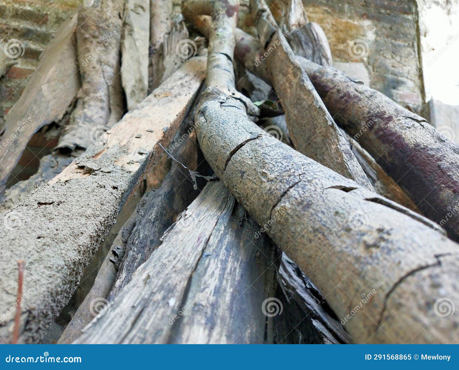 Wood and termite houses stock image. Image of wood, houses - 291568865