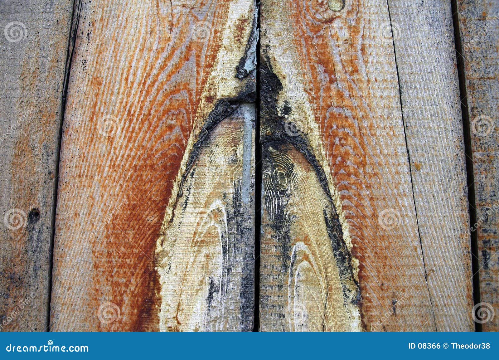Wood texture stock photo. Image of holes, wood, rust, rusting - 8366