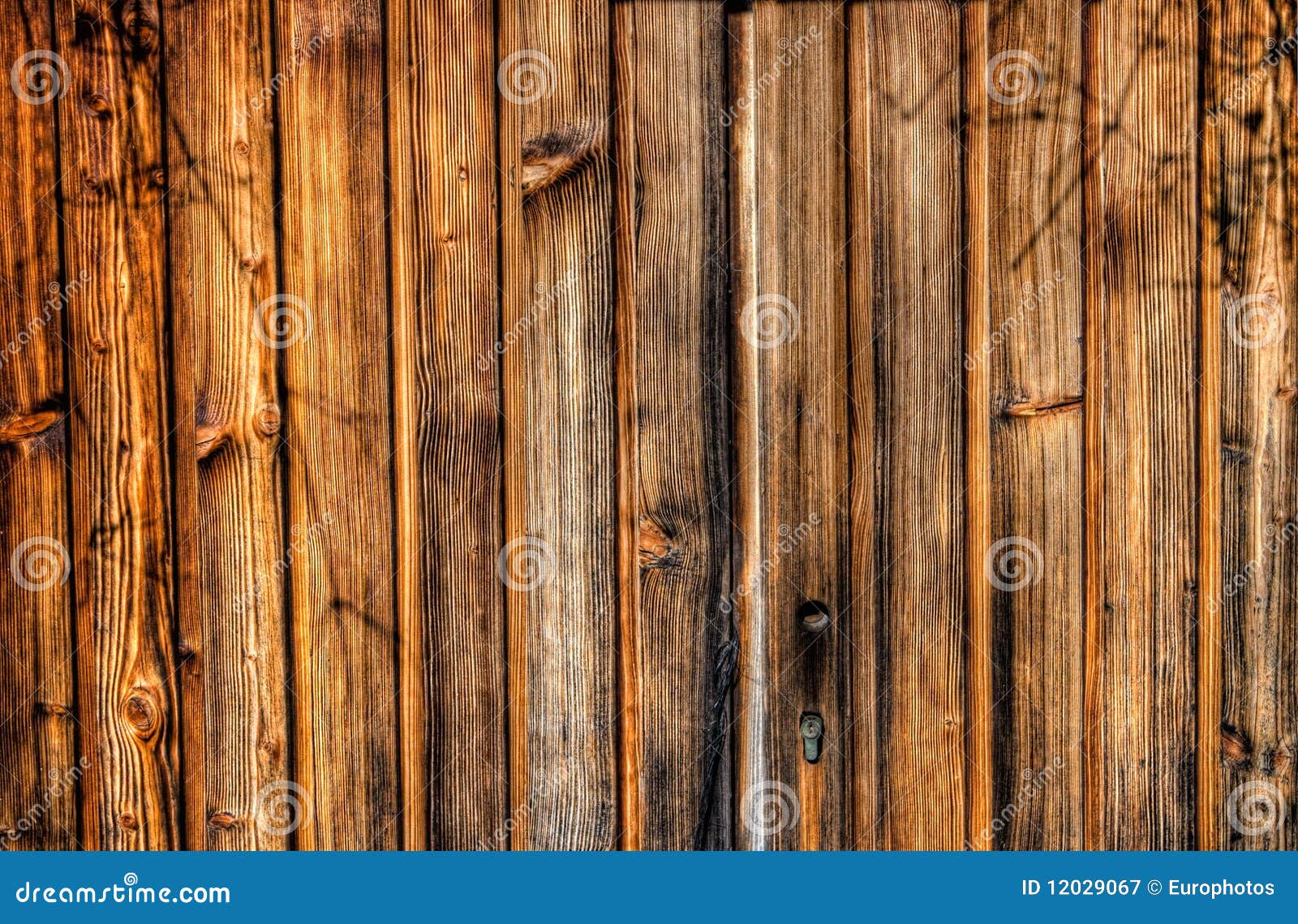 Wood Texture stock image. Image of door, hardwood, grunge - 12029067