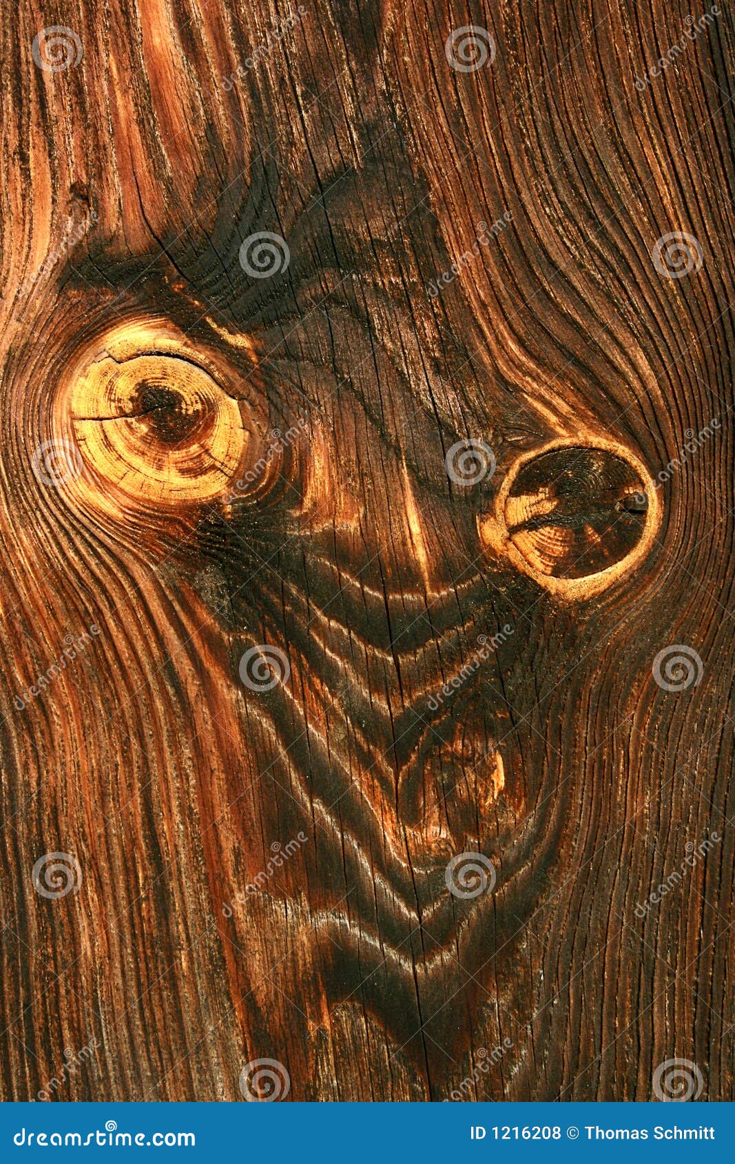 Wood texture stock photo. Image of coarse, panel, frame - 1216208
