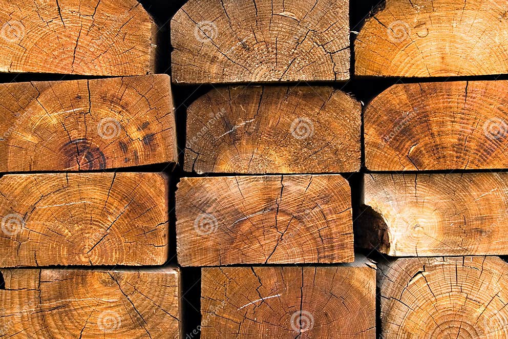 Wood Texture stock photo. Image of surface, wood, round - 14153472