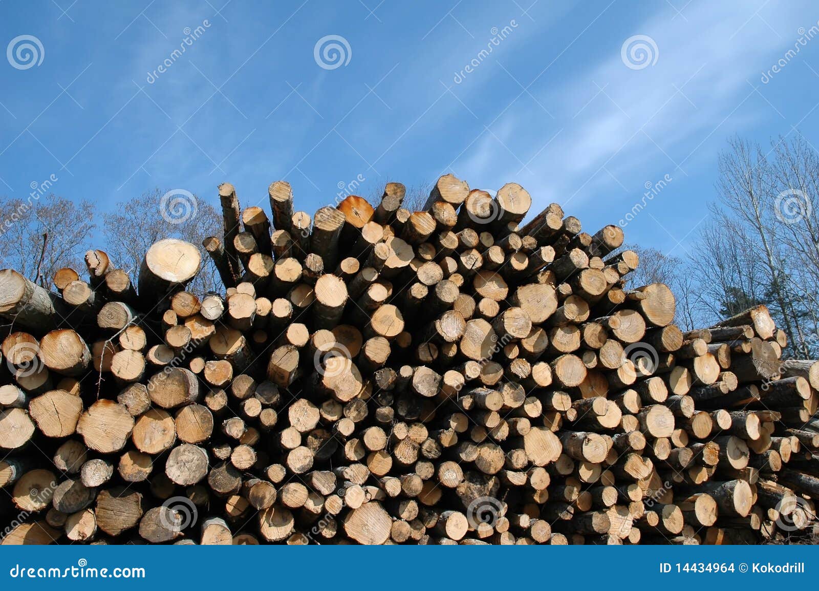 Wood texture stock photo. Image of chop, country, pine - 14434964