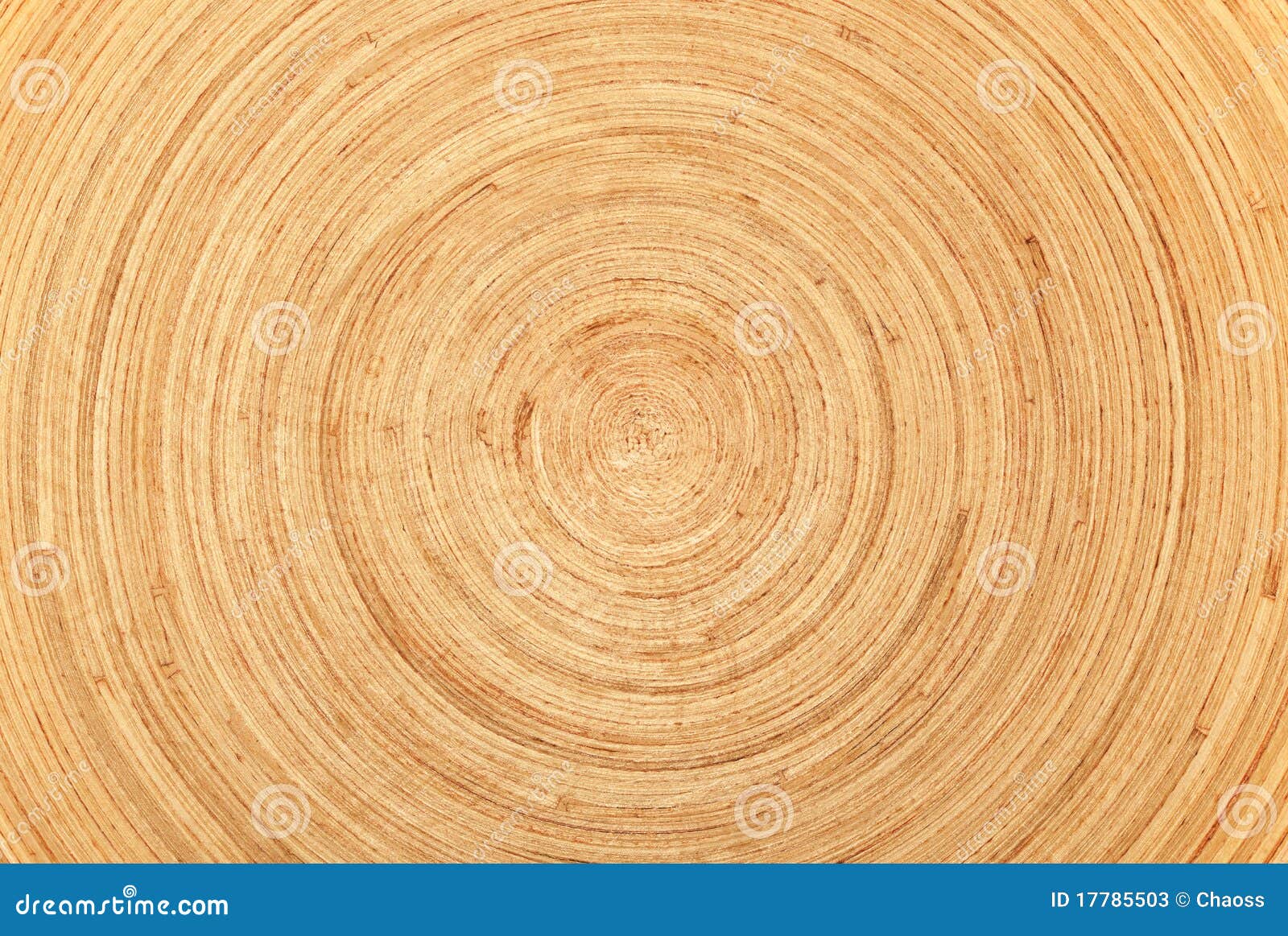 Wood texture stock image. Image of abstract, circular - 17785503