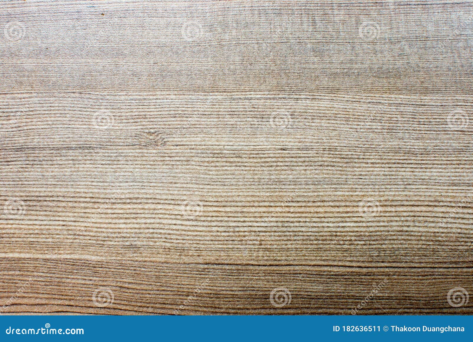 Modern Wood Patterns, Clear Colors, Used To Design Textures, Furniture ...