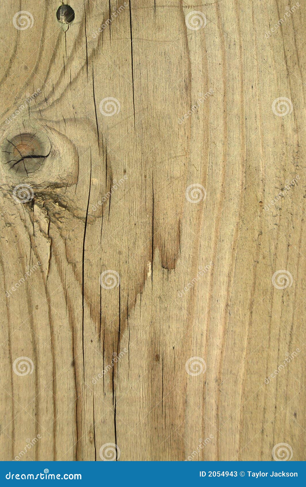 Single Wood Plank Texture
