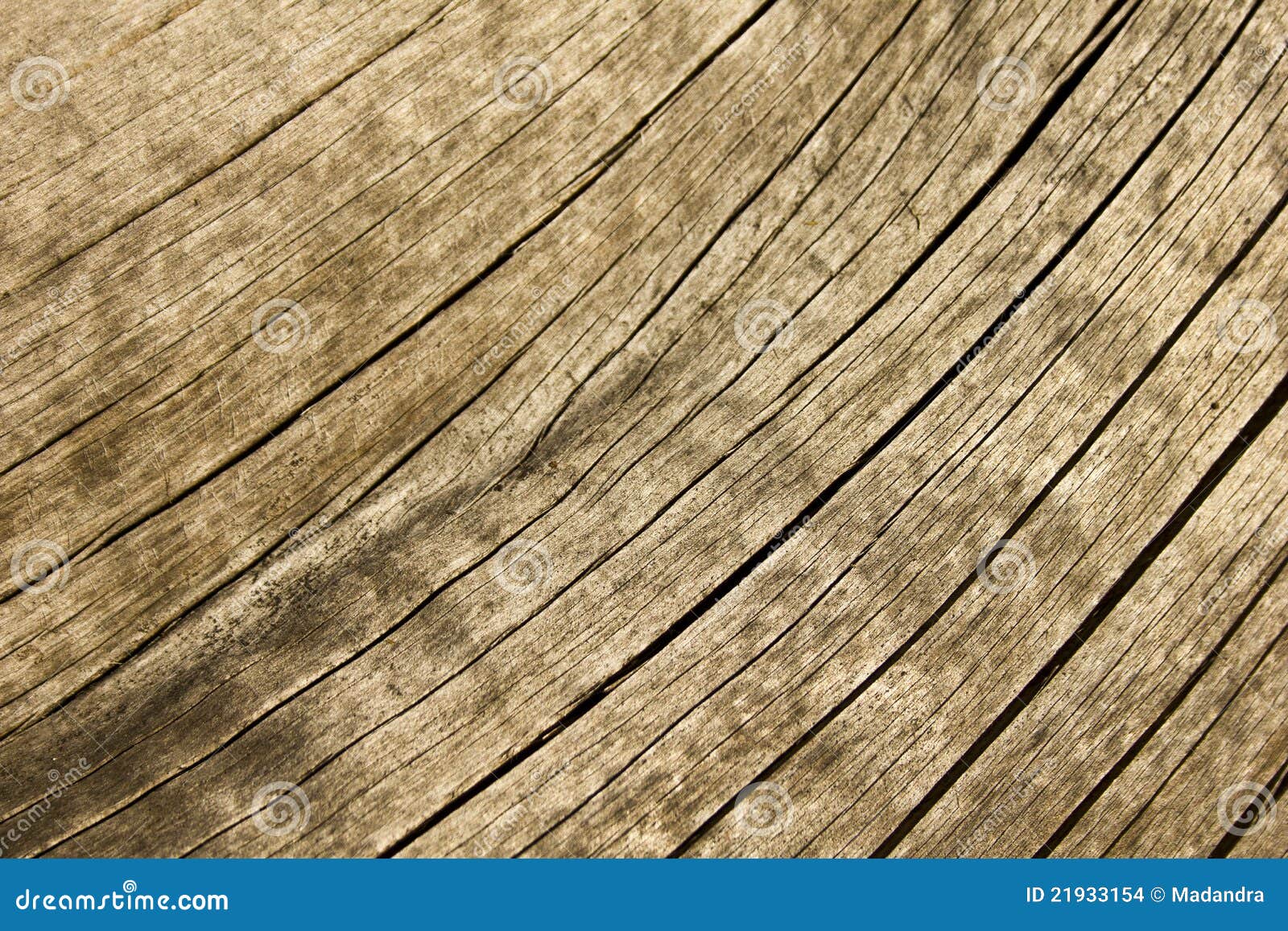 Wood texture stock photo. Image of nature, shape, lines - 21933154