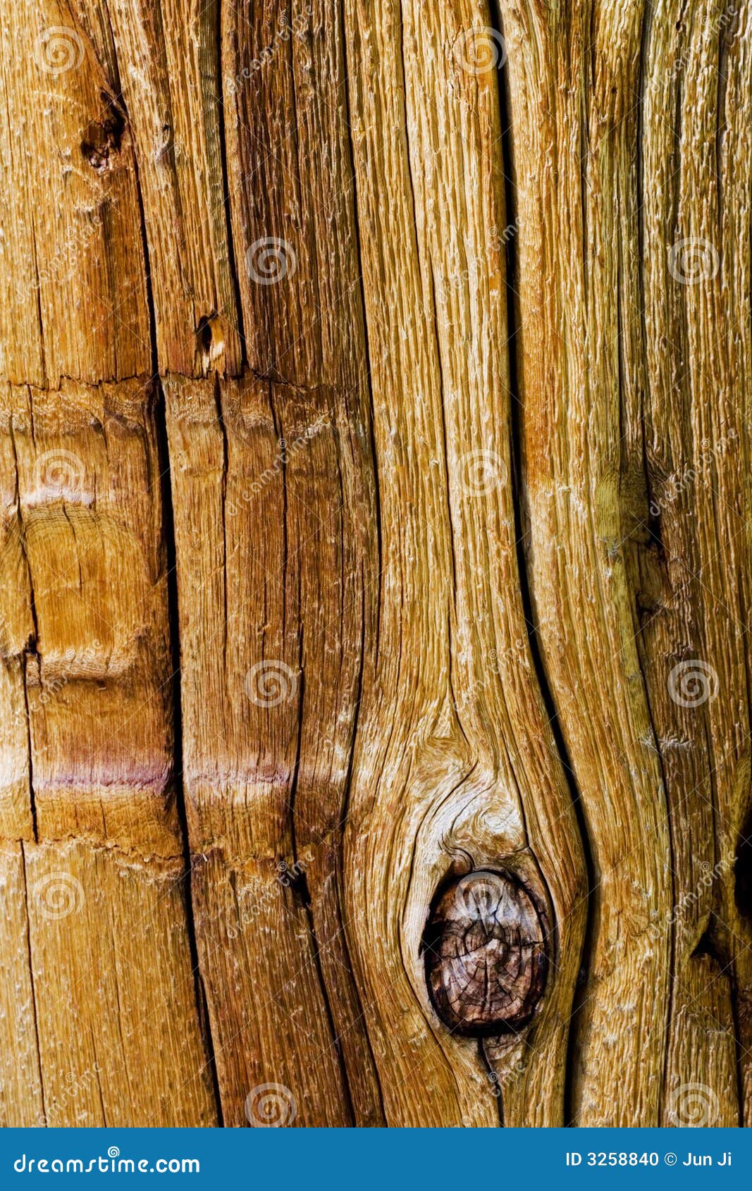 1,444 Wood Node Stock Photos - Free & Royalty-Free Stock Photos from ...